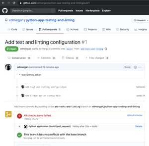 Automated Testing and Linting for Python Projects